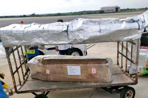 International import and exportation of human remains. - TFL - Total ...